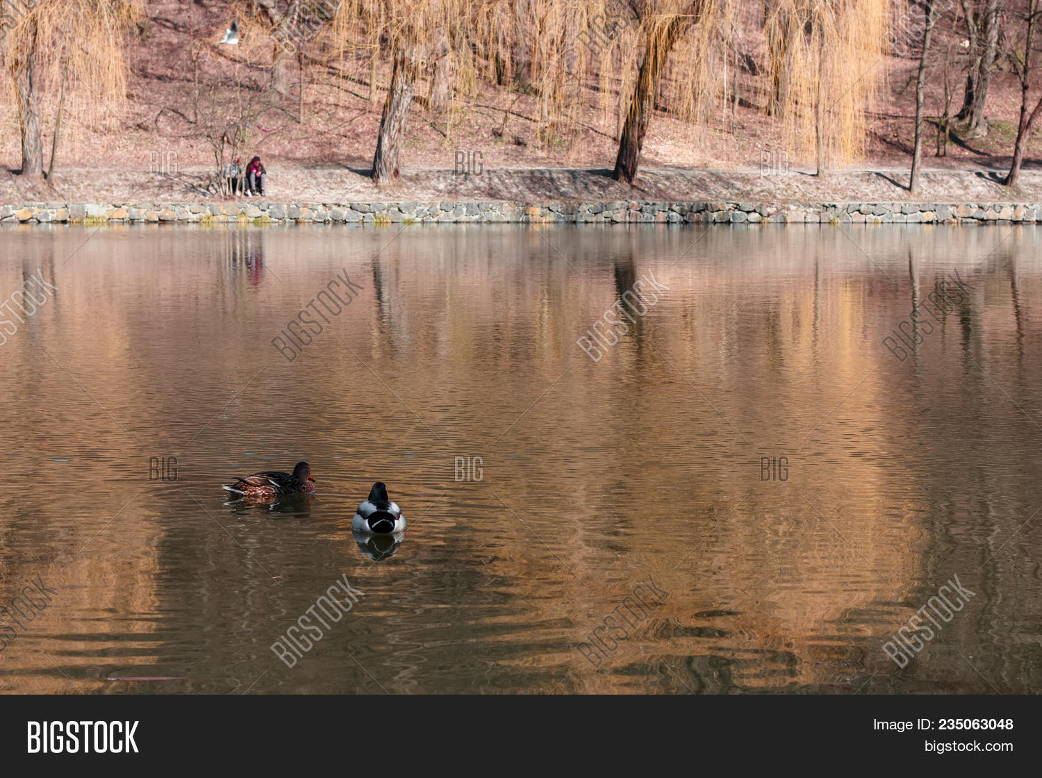 Spring Landscape Lake Image & Photo (Free Trial) | Bigstock