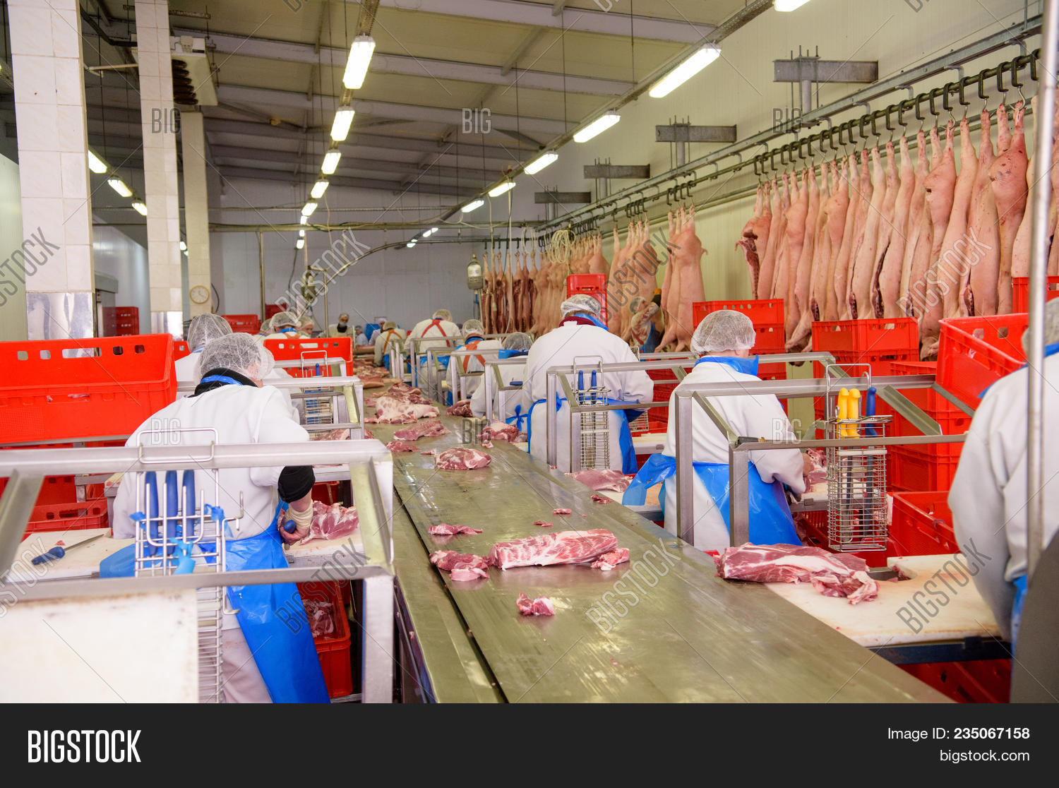 Workers Pork Meat Image & Photo (Free Trial) | Bigstock