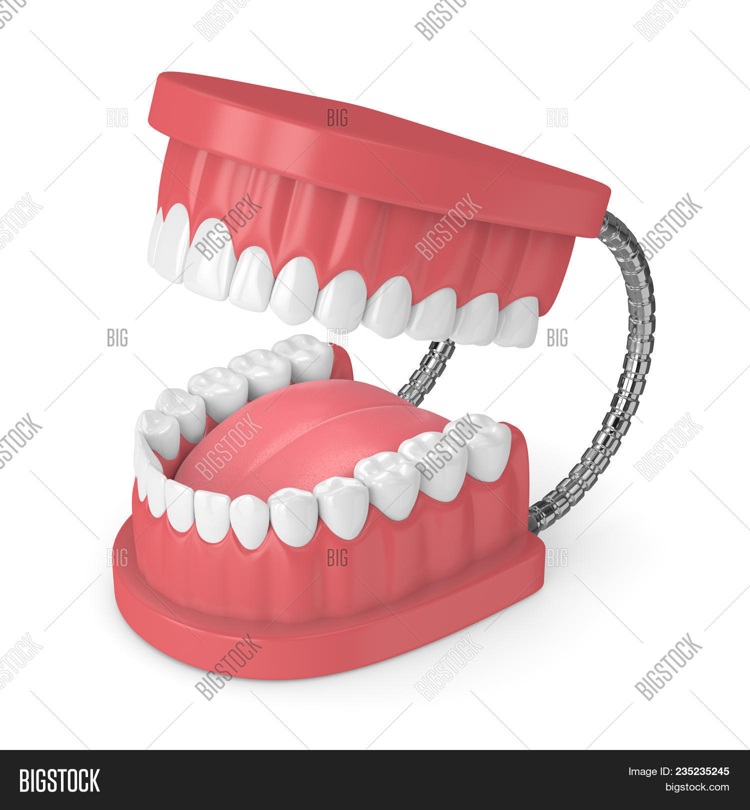 3D Render Jaw Model Image & Photo (Free Trial) | Bigstock