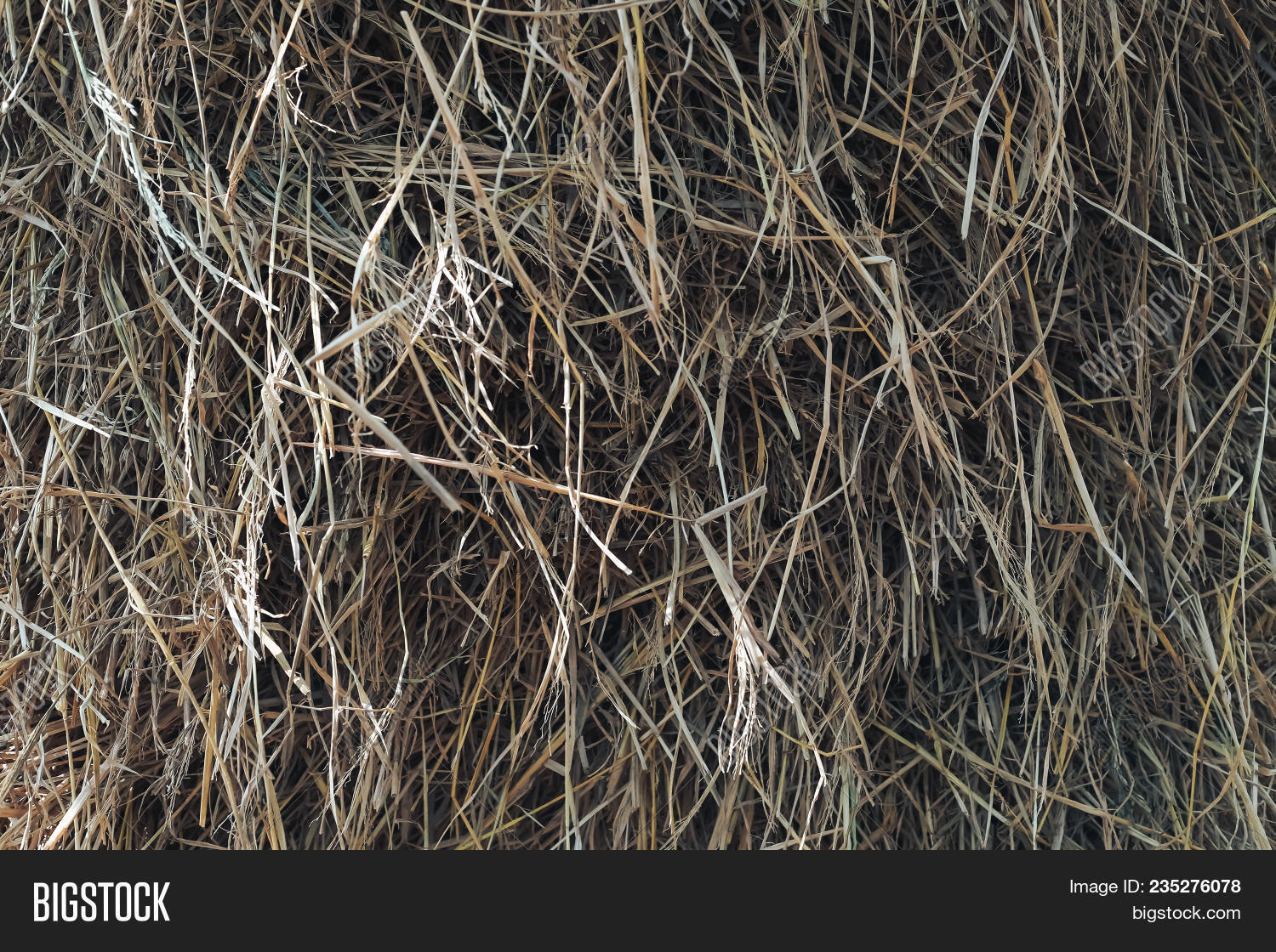 Hay Background Front Image & Photo (Free Trial) | Bigstock