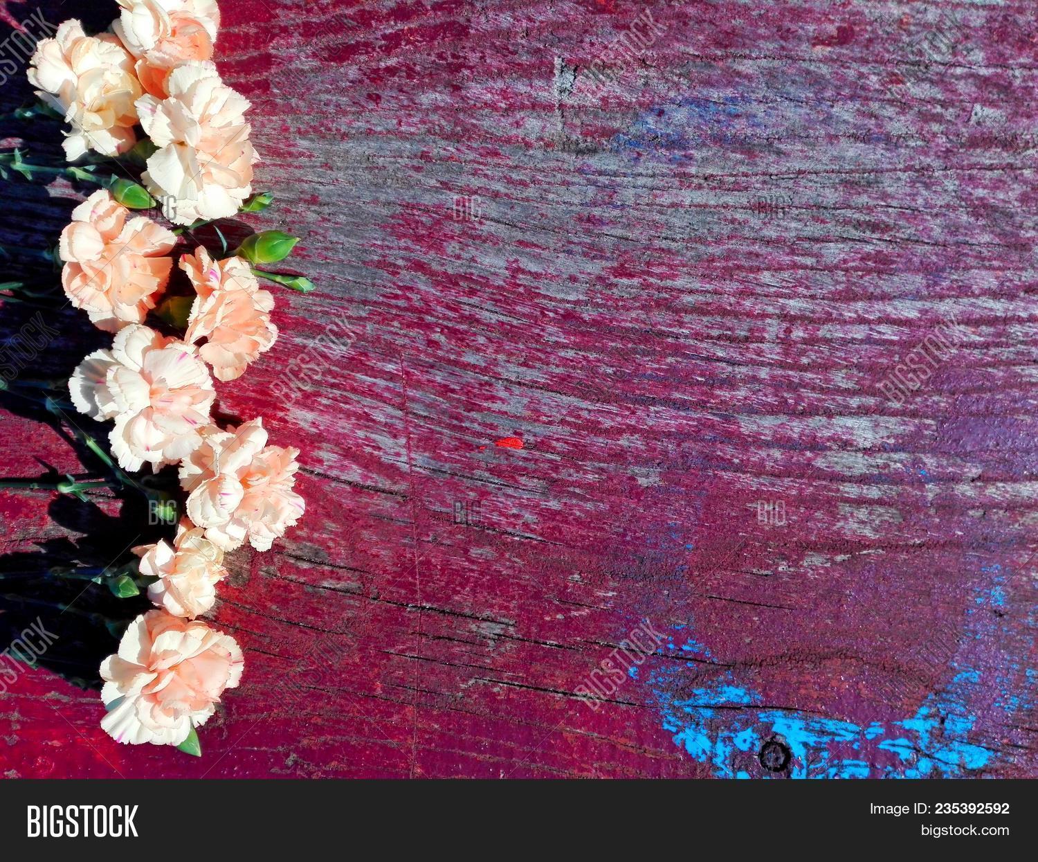 Carnation Flower Border