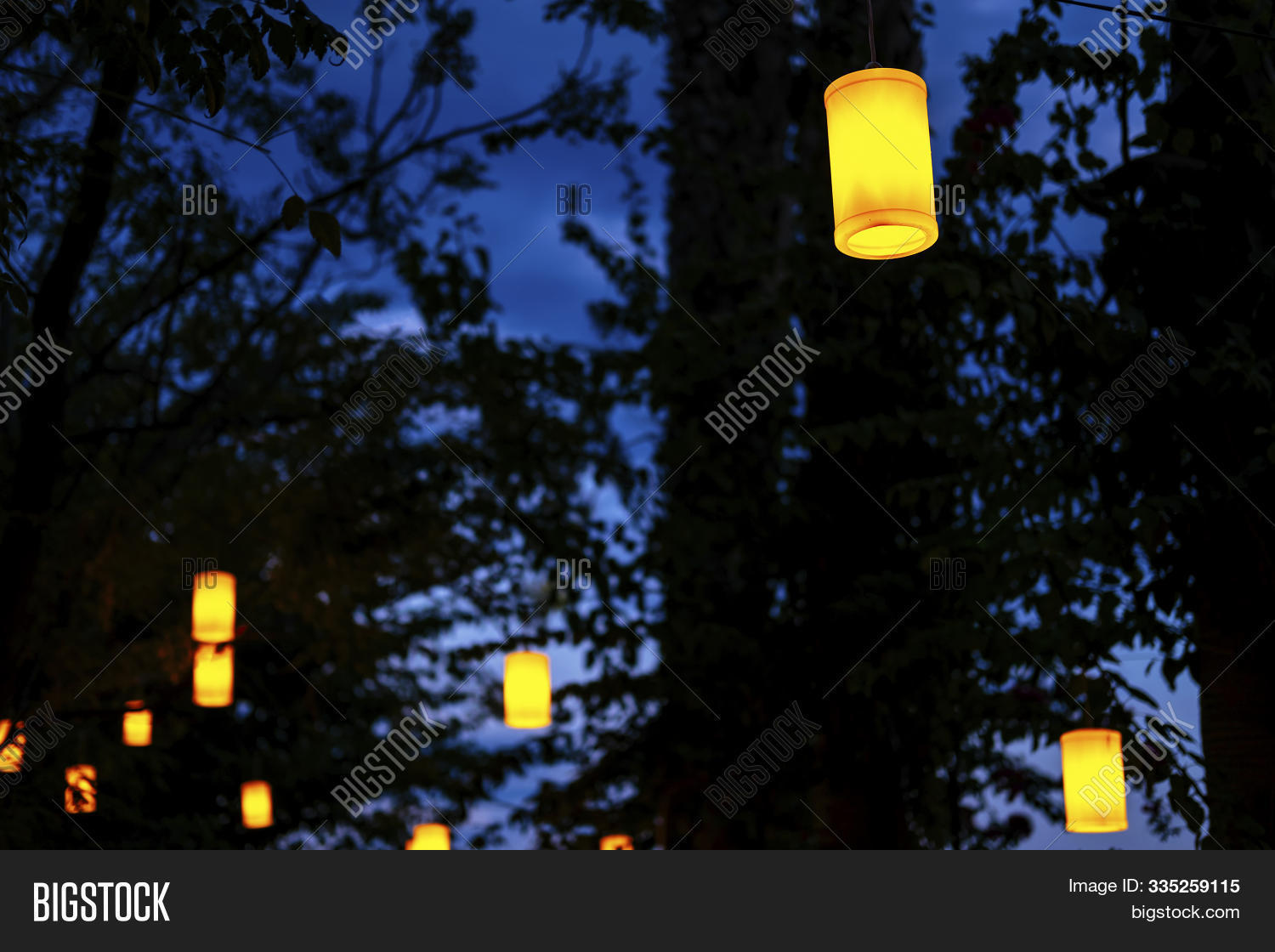 Lanterns At Night In Trees