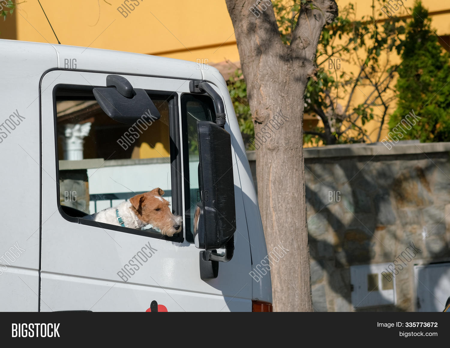 Dog Passenger Seat Image & Photo (Free Trial) | Bigstock