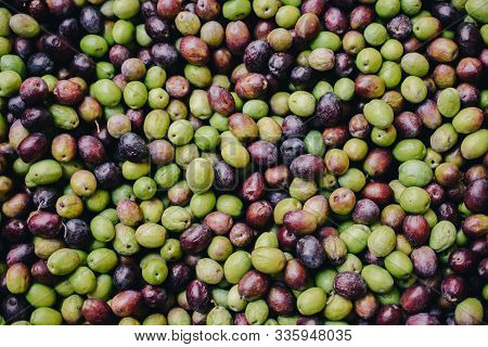 Olives In Market Images, Illustrations & Vectors (Free) - Bigstock