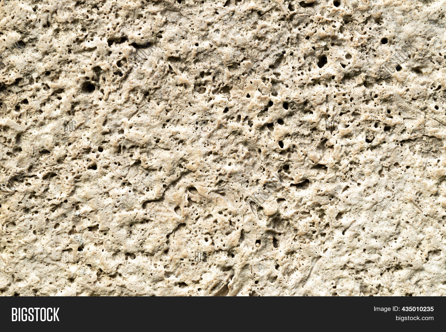 Texture Porous Stone. Image & Photo (Free Trial) | Bigstock