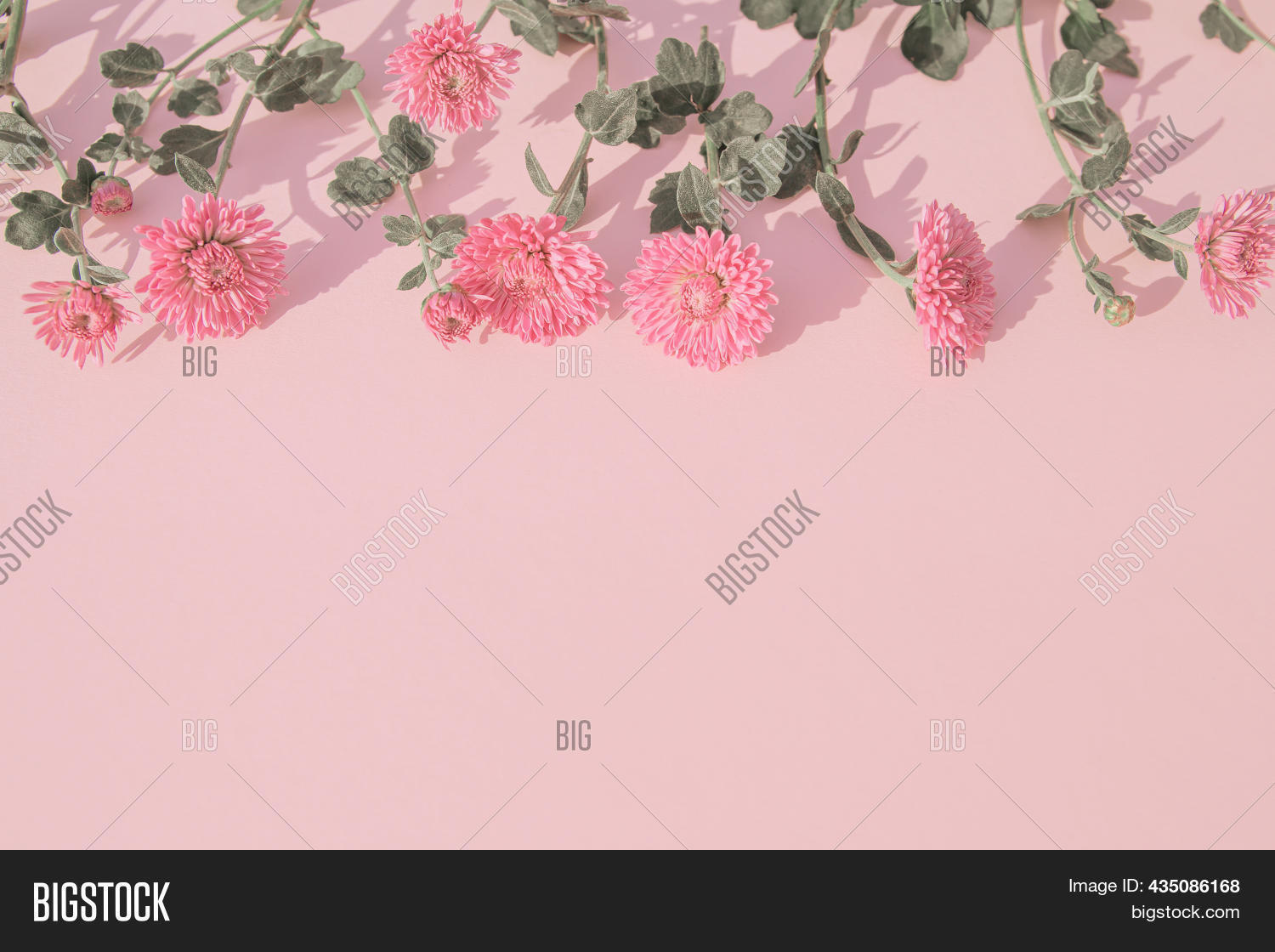 Creative Layout Made Image & Photo (Free Trial) | Bigstock