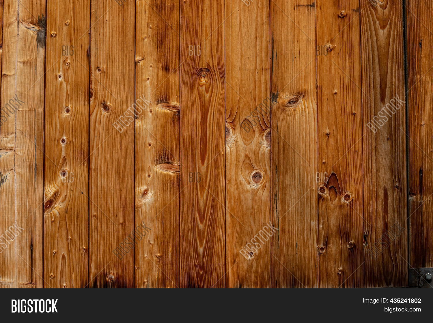 Walnut Wood Texture. Image & Photo (Free Trial) | Bigstock