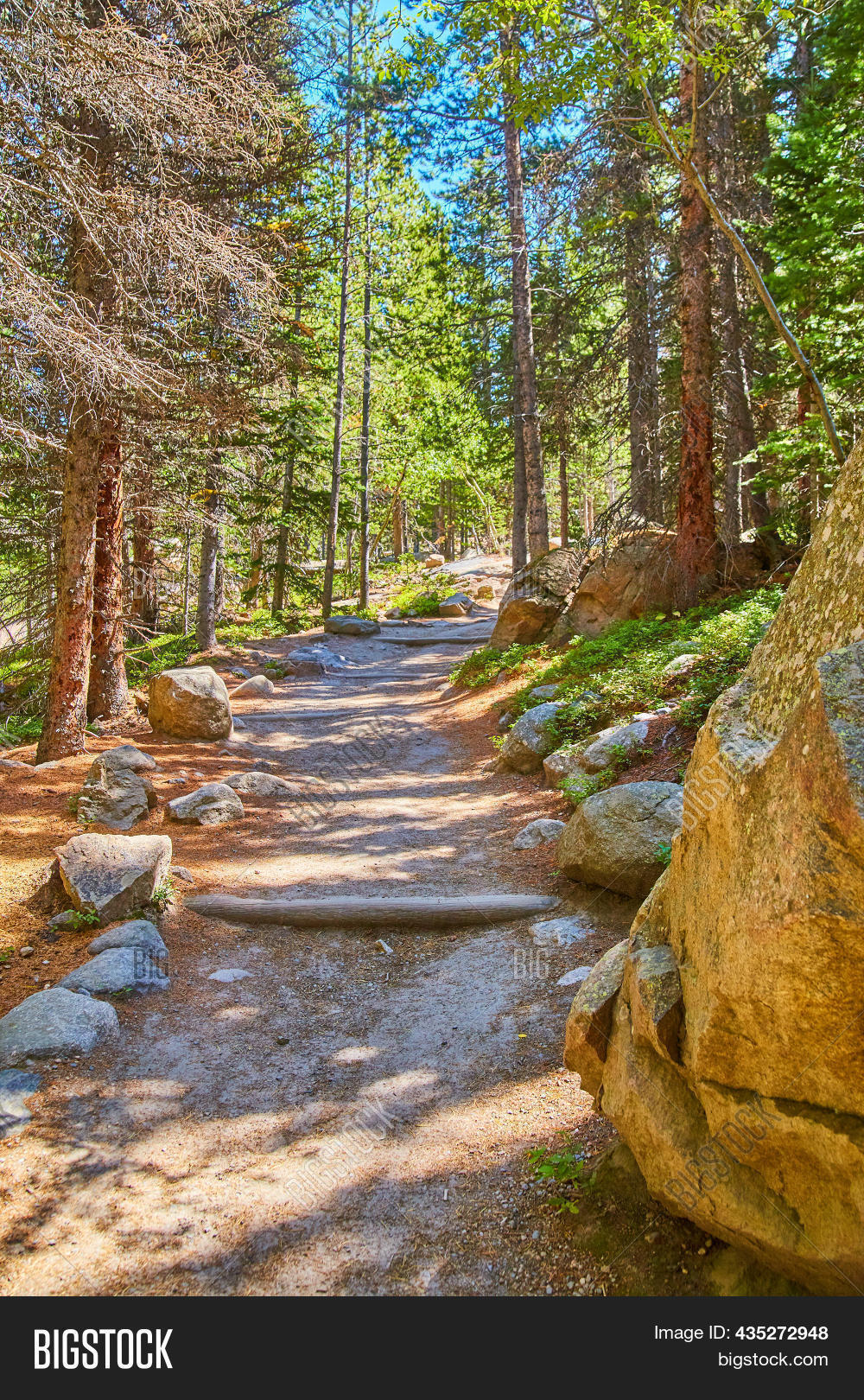 Simple Trail Path Image & Photo (Free Trial) | Bigstock