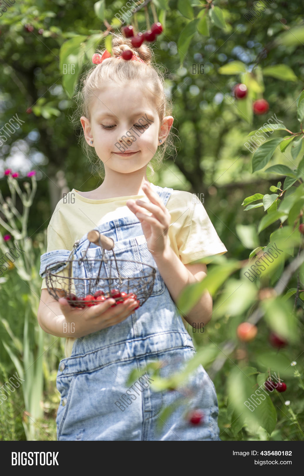 Little Girl Picking Image & Photo (Free Trial) | Bigstock