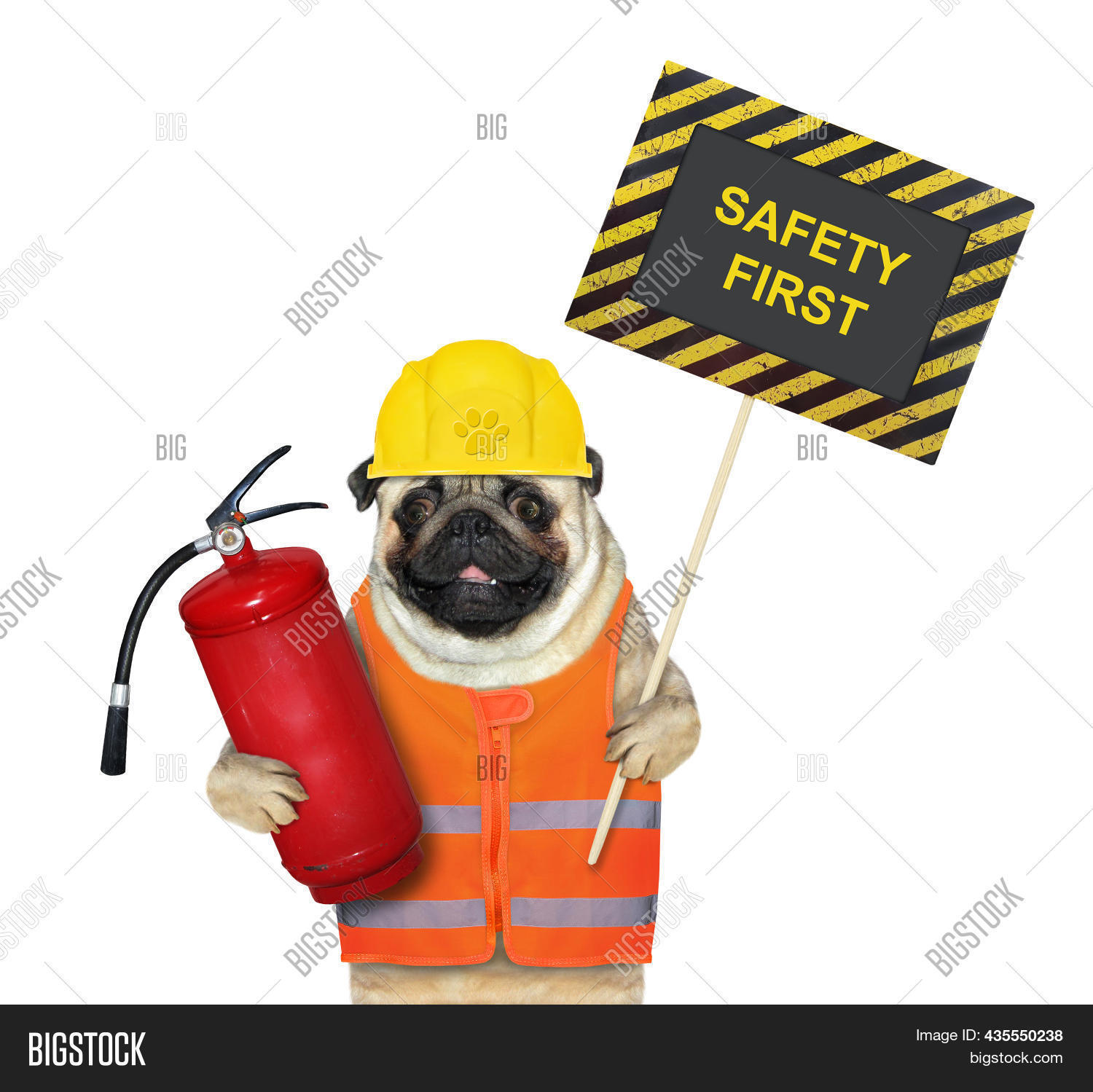 Dog Pug Construction Image & Photo (Free Trial) | Bigstock