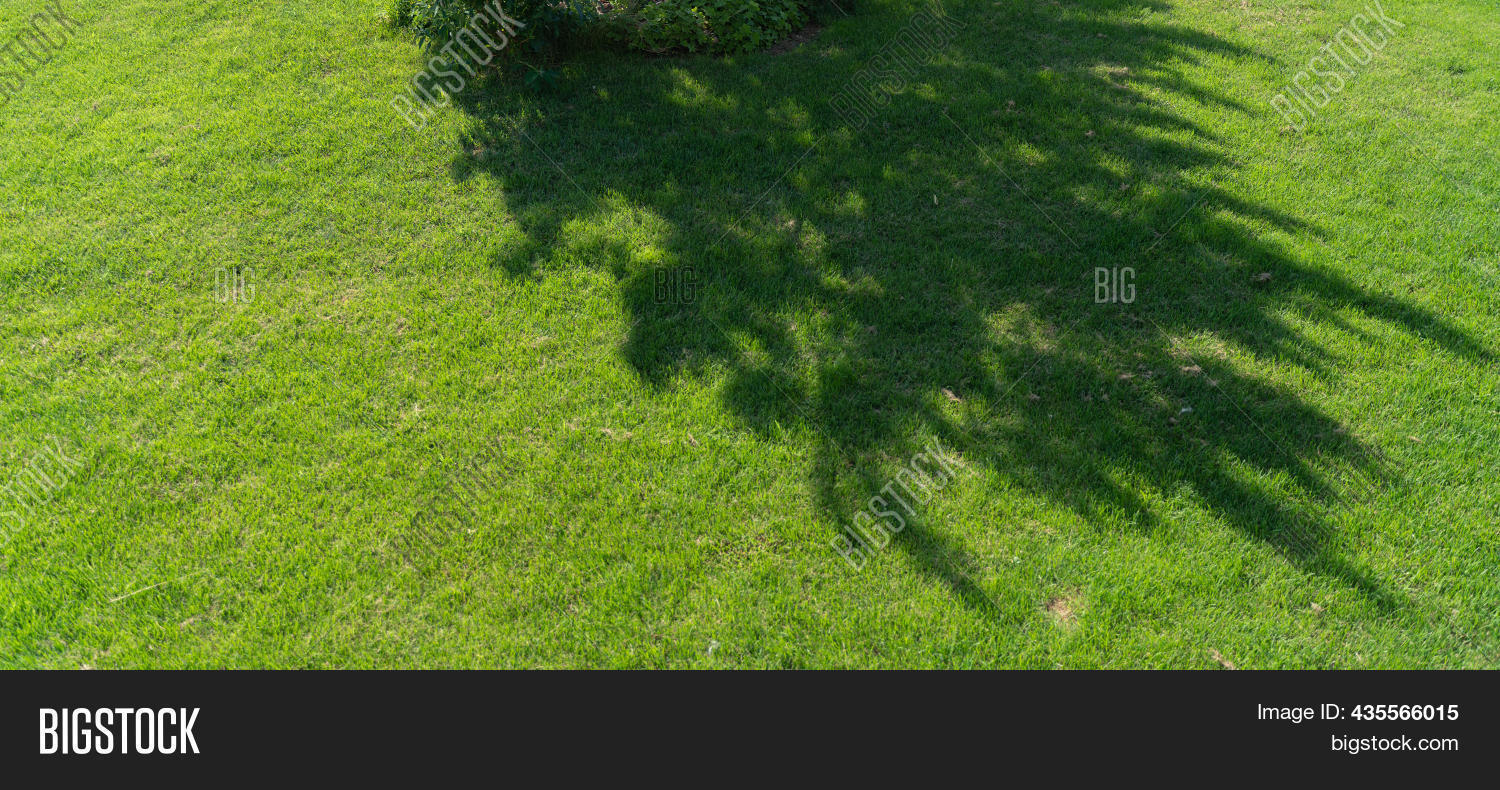 Park Garden Shady, Image & Photo (Free Trial) | Bigstock
