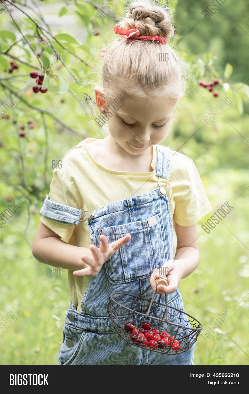 Little Girl Picking Image & Photo (Free Trial) | Bigstock