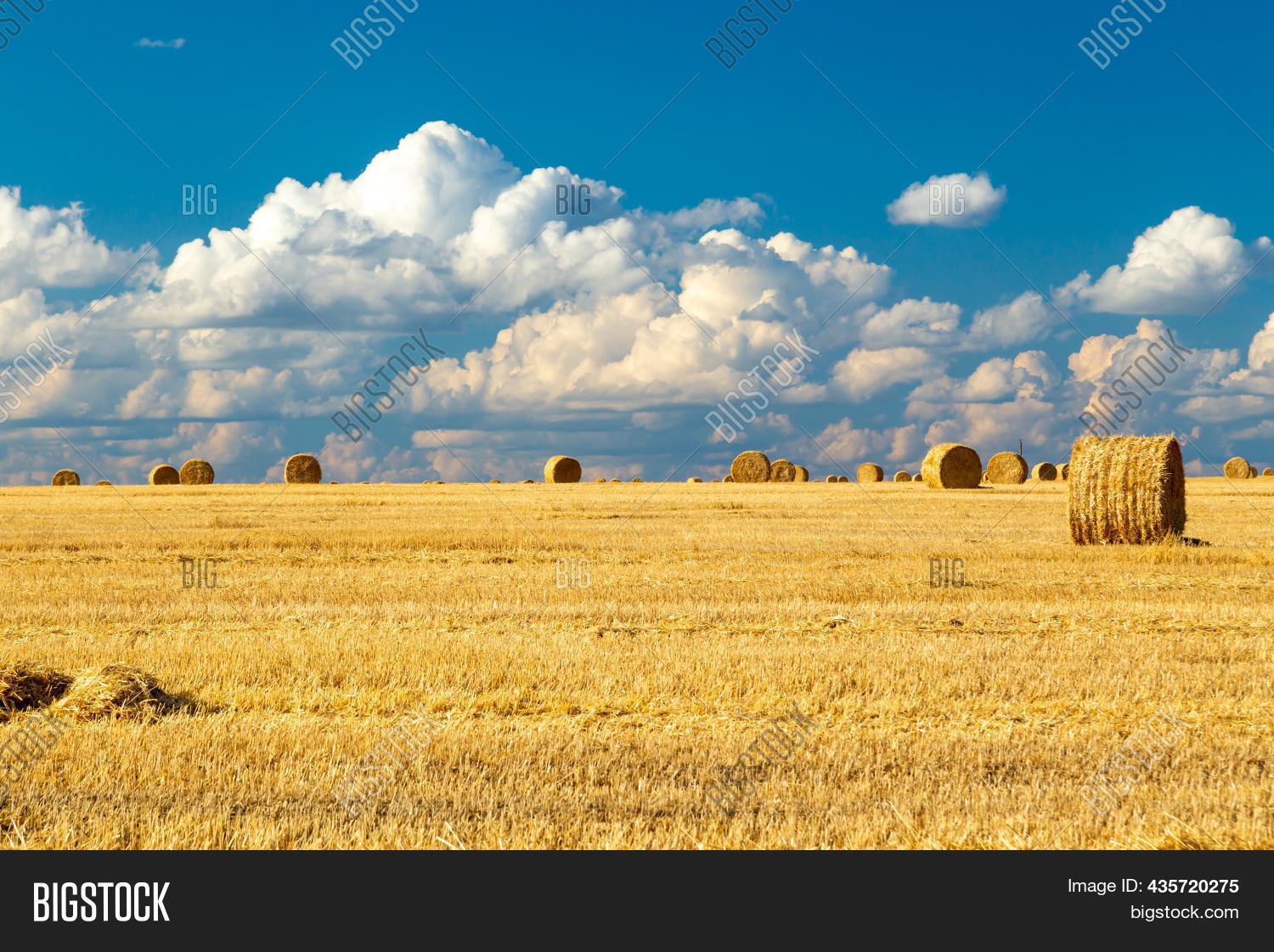 Bales Straw Background Image & Photo (Free Trial) | Bigstock