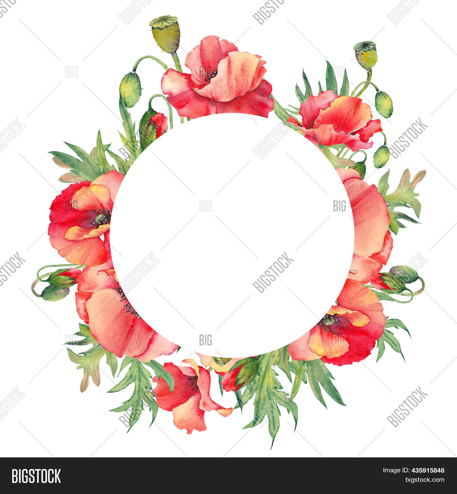 Round Frame Red Poppy Image & Photo (Free Trial) | Bigstock