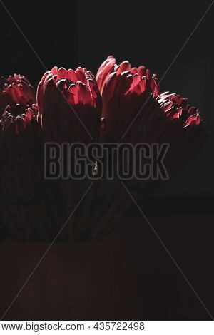 Vase Fresh Cut Pink Image & Photo (Free Trial) | Bigstock
