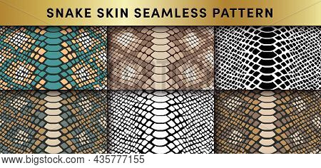 Trendy Snake Skin Vector & Photo (Free Trial) | Bigstock