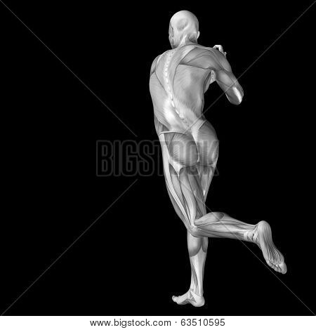 3D Human Man Muscles Image & Photo (Free Trial) | Bigstock