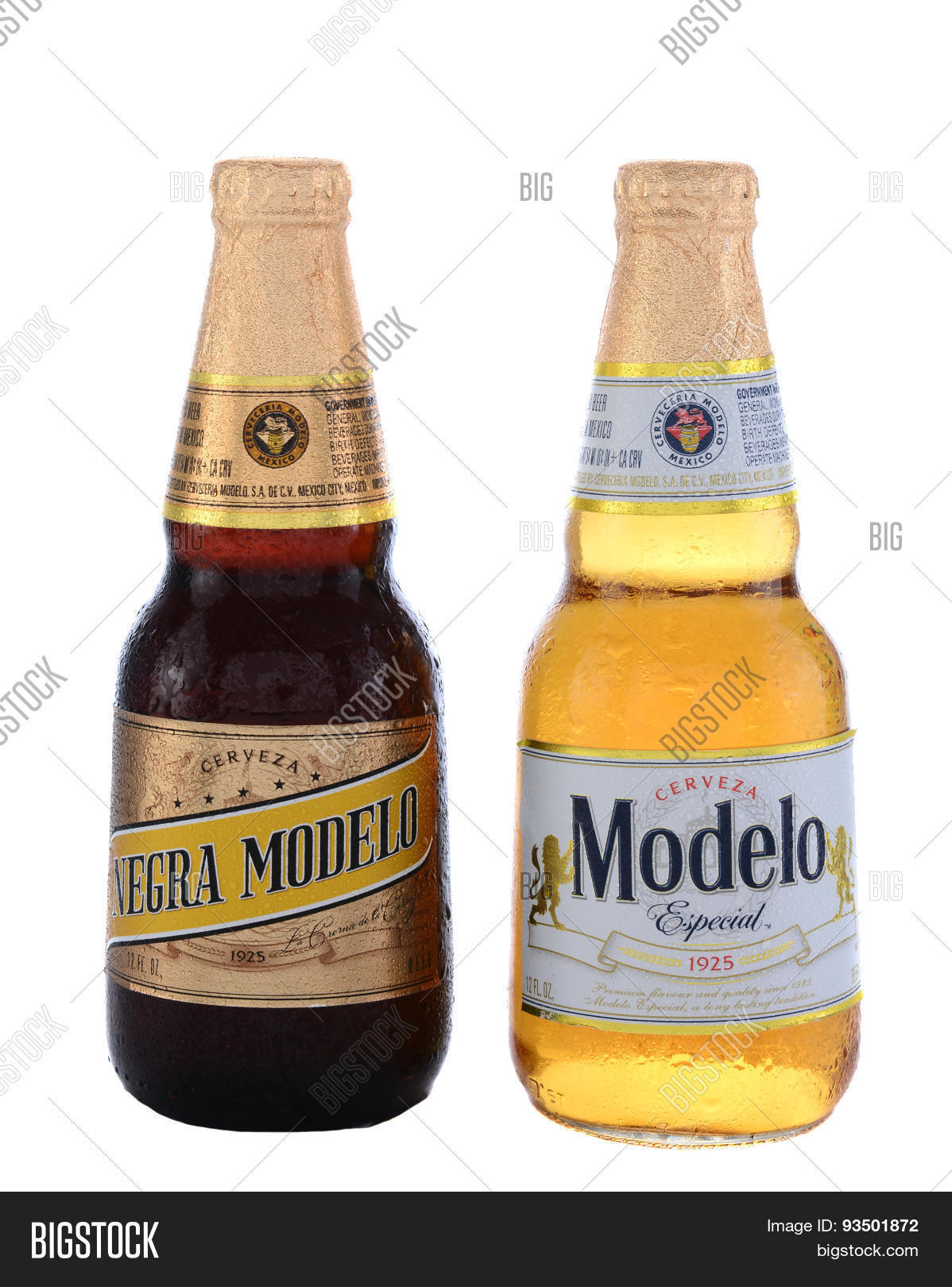 Modelo Negra Logo