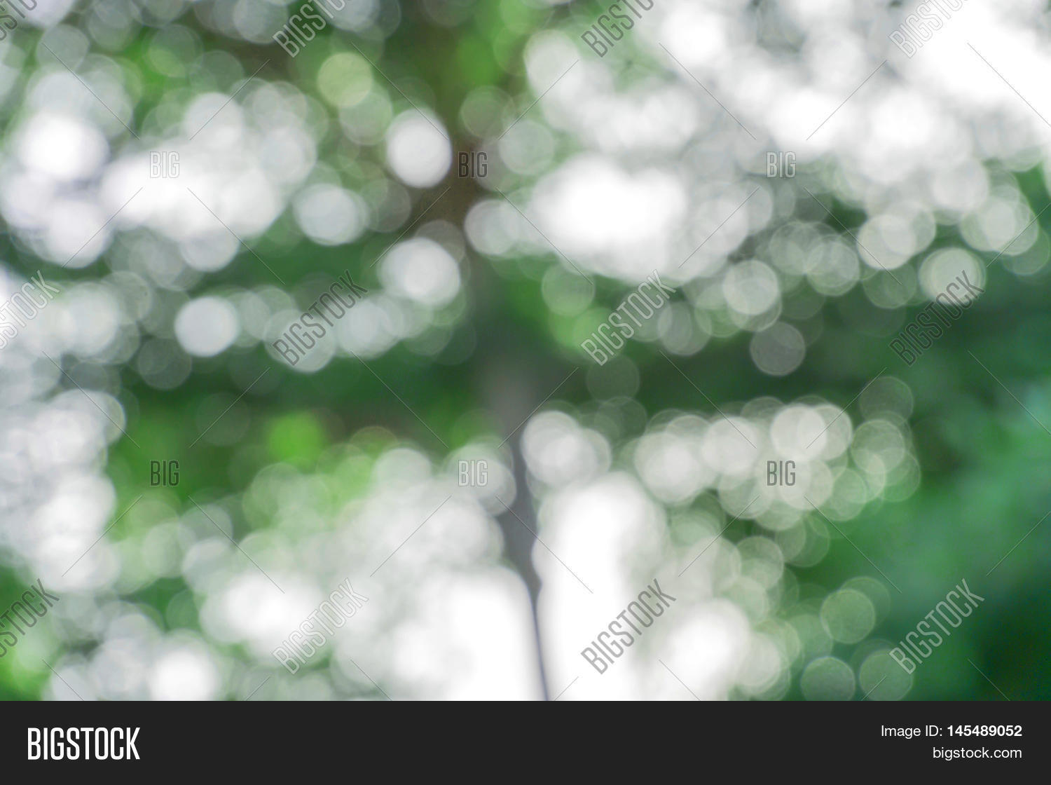 Green Bokeh / Bokeh Image & Photo (Free Trial) | Bigstock