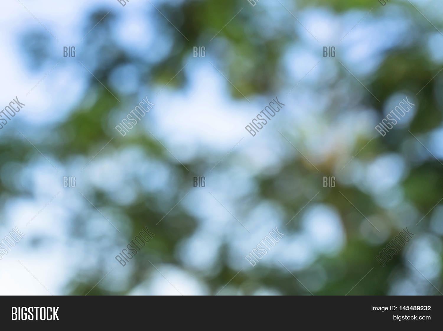 Green Tree / Blurred Image & Photo (Free Trial) | Bigstock