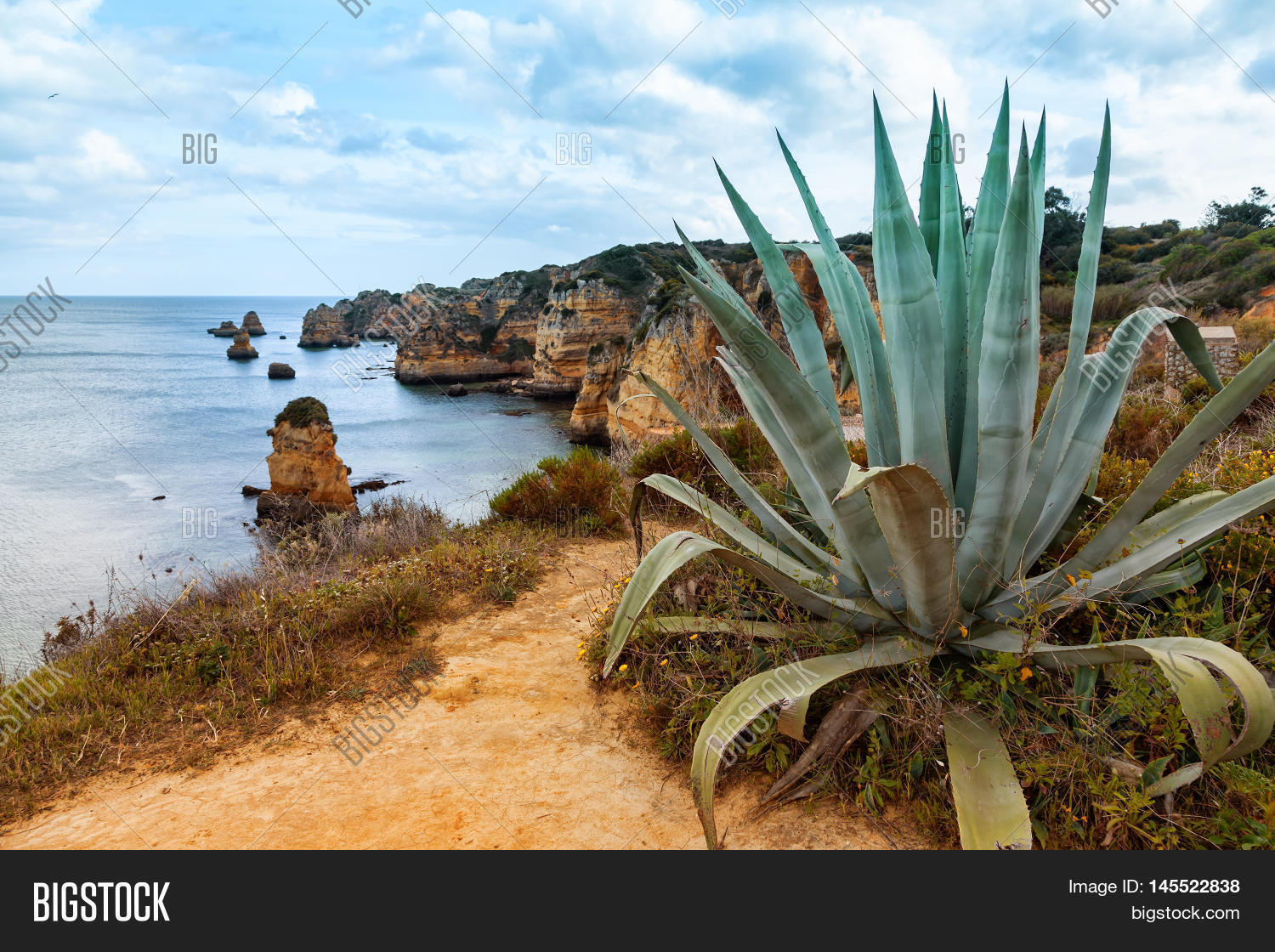 Algarve Coast Agave Image & Photo (Free Trial) | Bigstock