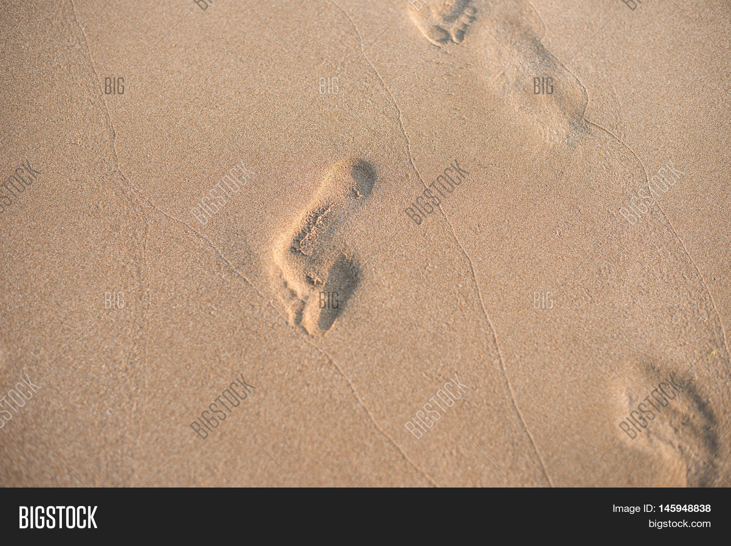 Footprints Sand. Row Image & Photo (Free Trial) | Bigstock