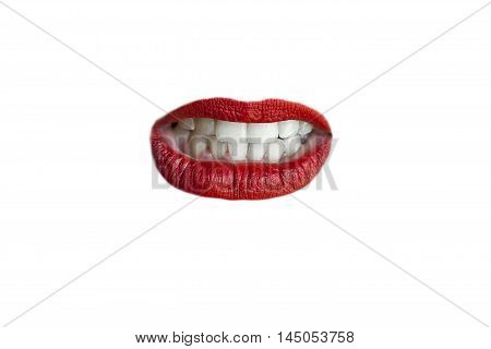 Isolated Gnashing Image & Photo (Free Trial) | Bigstock