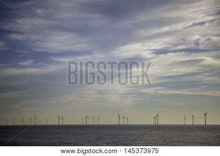 Subtle Subdued Nature Image & Photo (Free Trial) | Bigstock