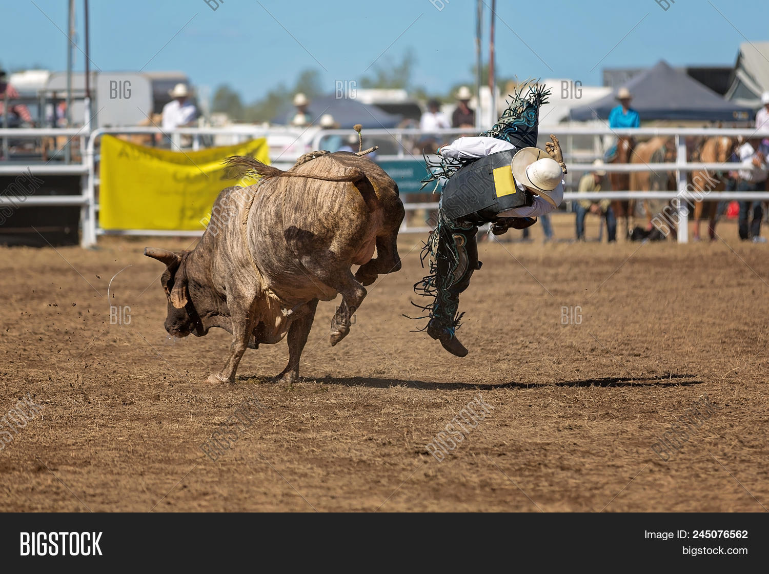 Cowboy Falls Off Bull Image & Photo (Free Trial) | Bigstock