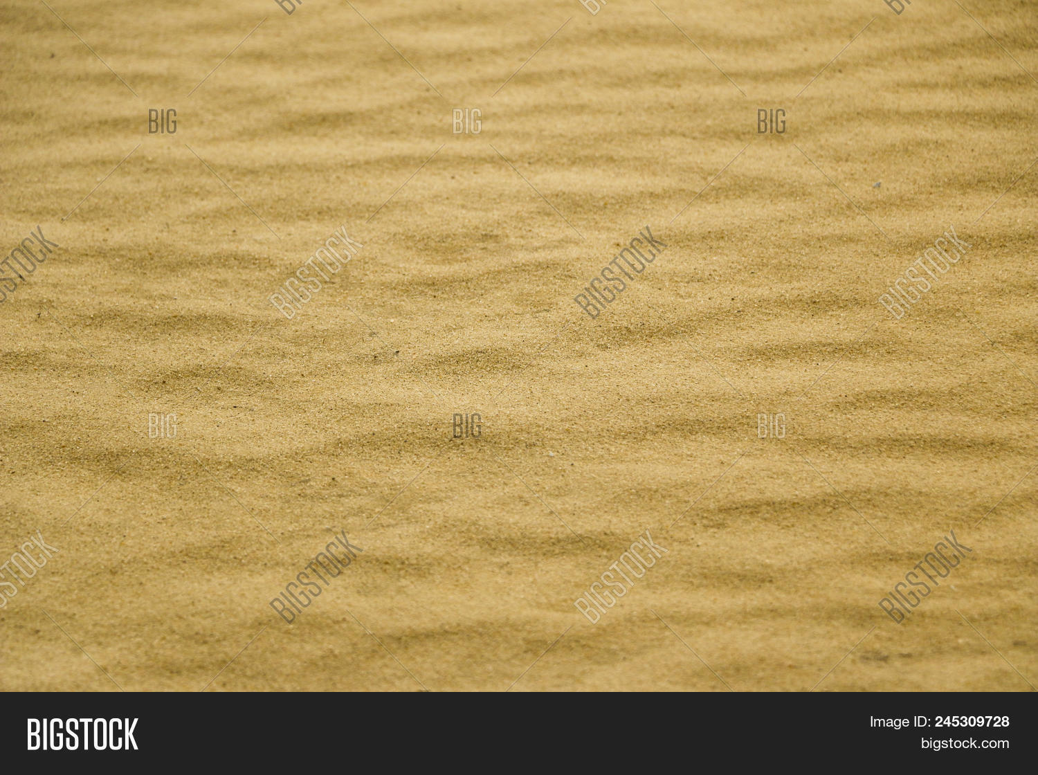 Sand Pattern Texture. Image & Photo (Free Trial) | Bigstock