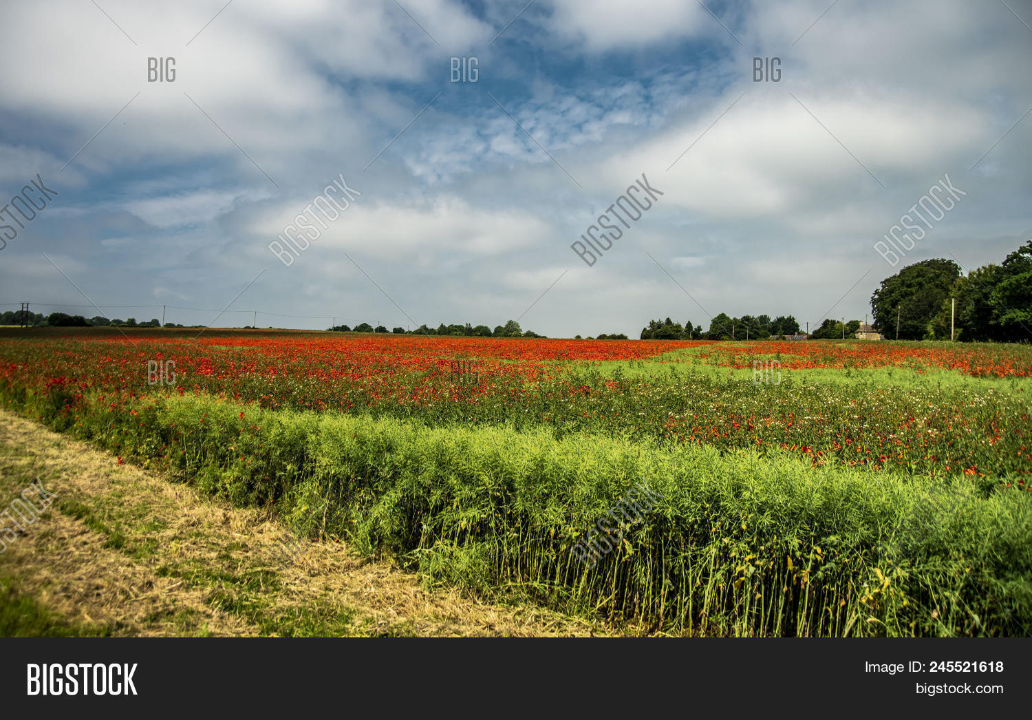 Cloudy Spring Day Image & Photo (Free Trial) | Bigstock