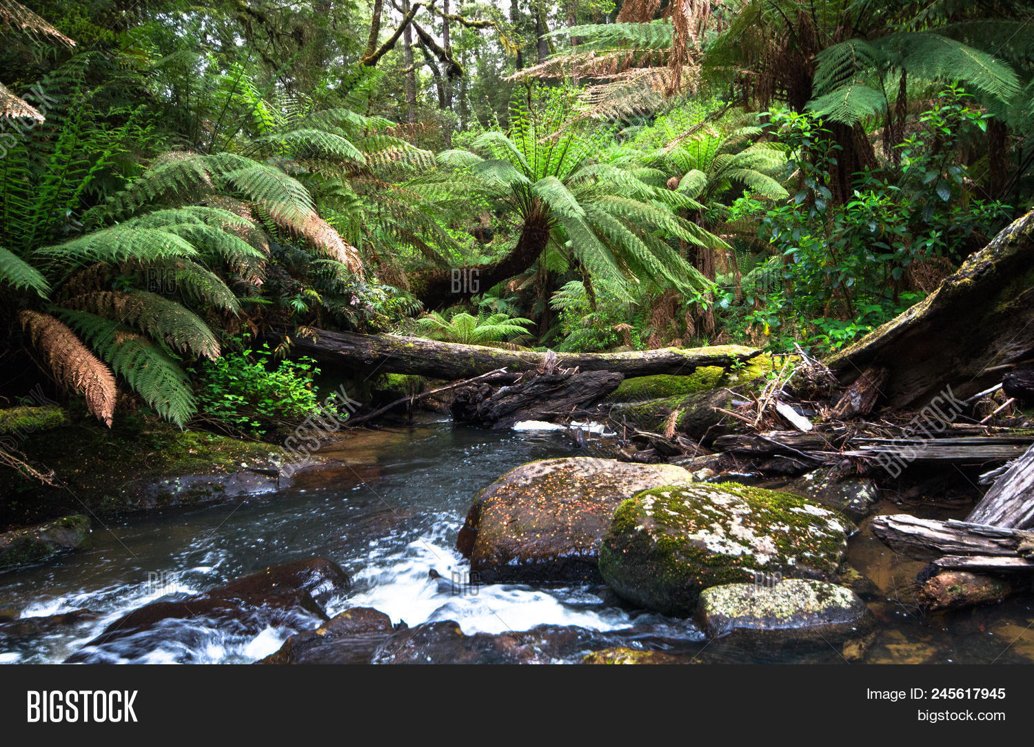 Small Creek Flows Image & Photo (Free Trial) | Bigstock