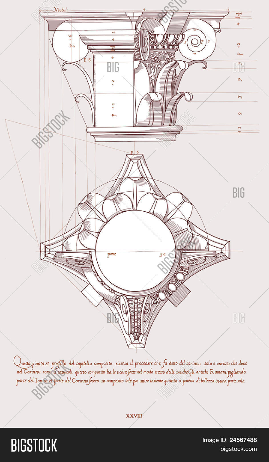 Chapiter- Hand Draw Image & Photo (Free Trial) | Bigstock