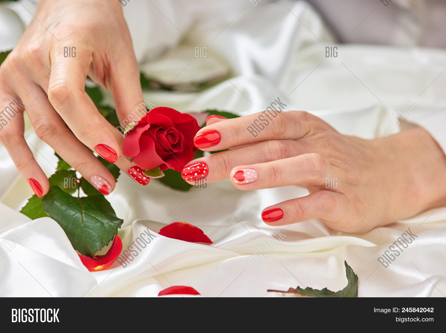Well-groomed Womans Image & Photo (Free Trial) | Bigstock