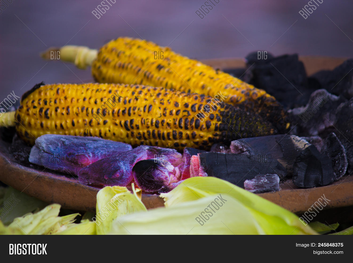 Corn Called Maize Been Image & Photo (Free Trial) | Bigstock