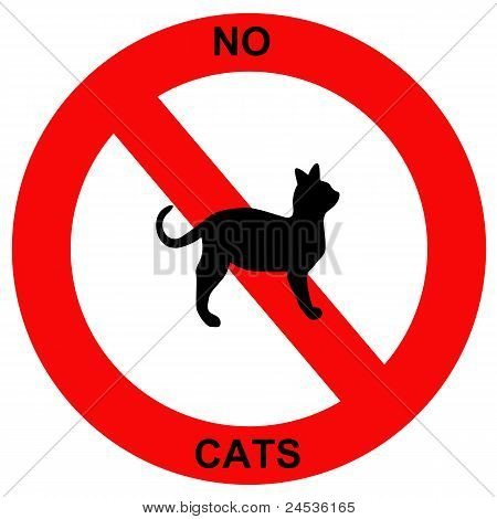 Forbidden Cats Image & Photo (Free Trial) | Bigstock