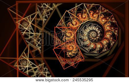 Split Nautilus Image & Photo (Free Trial) | Bigstock