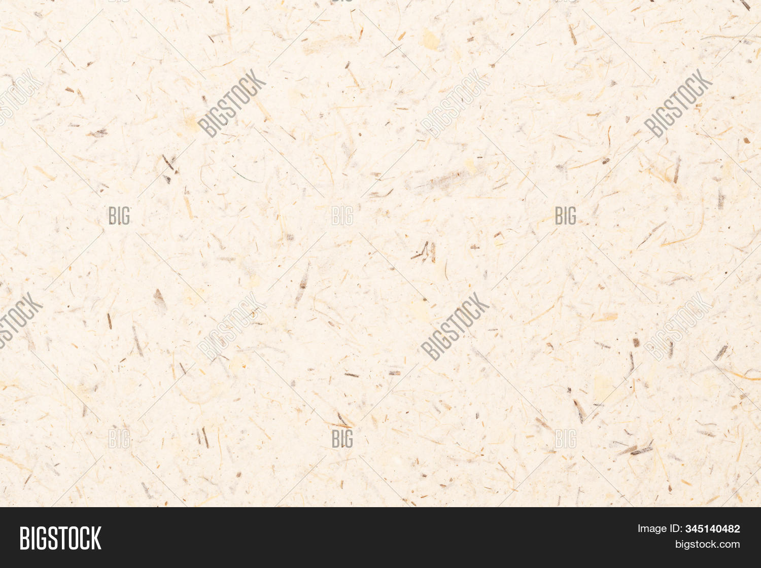 Mulberry Paper Dry Image & Photo (Free Trial) | Bigstock