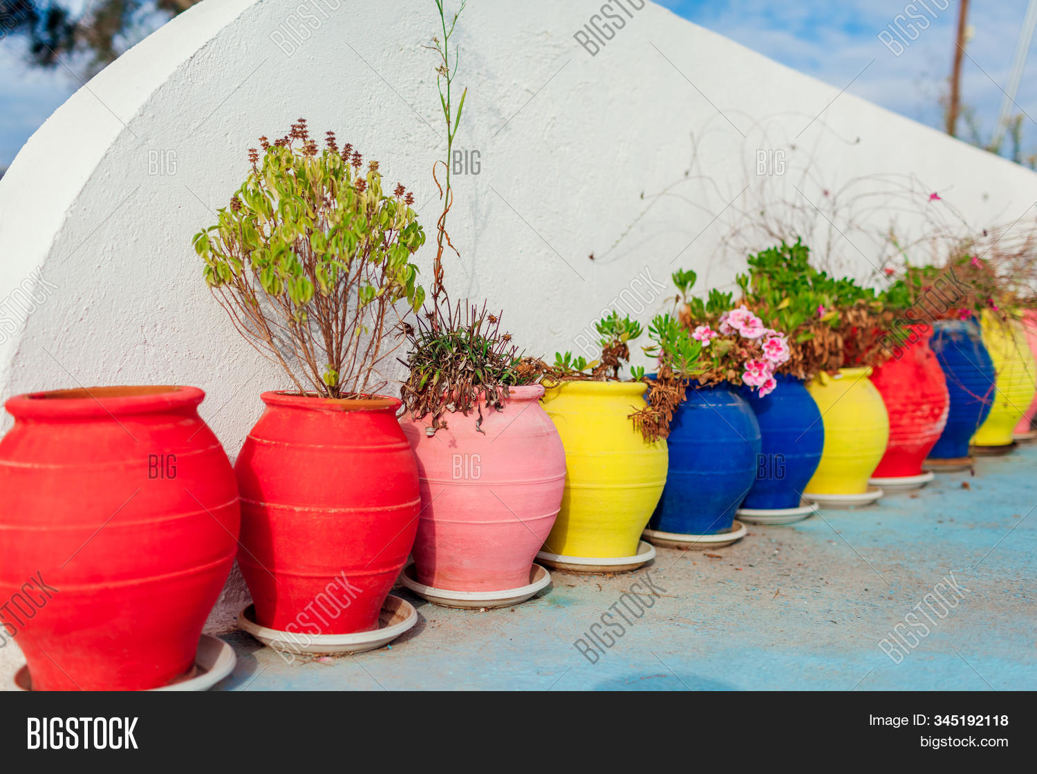 Flower Pots Different Image & Photo (Free Trial) | Bigstock