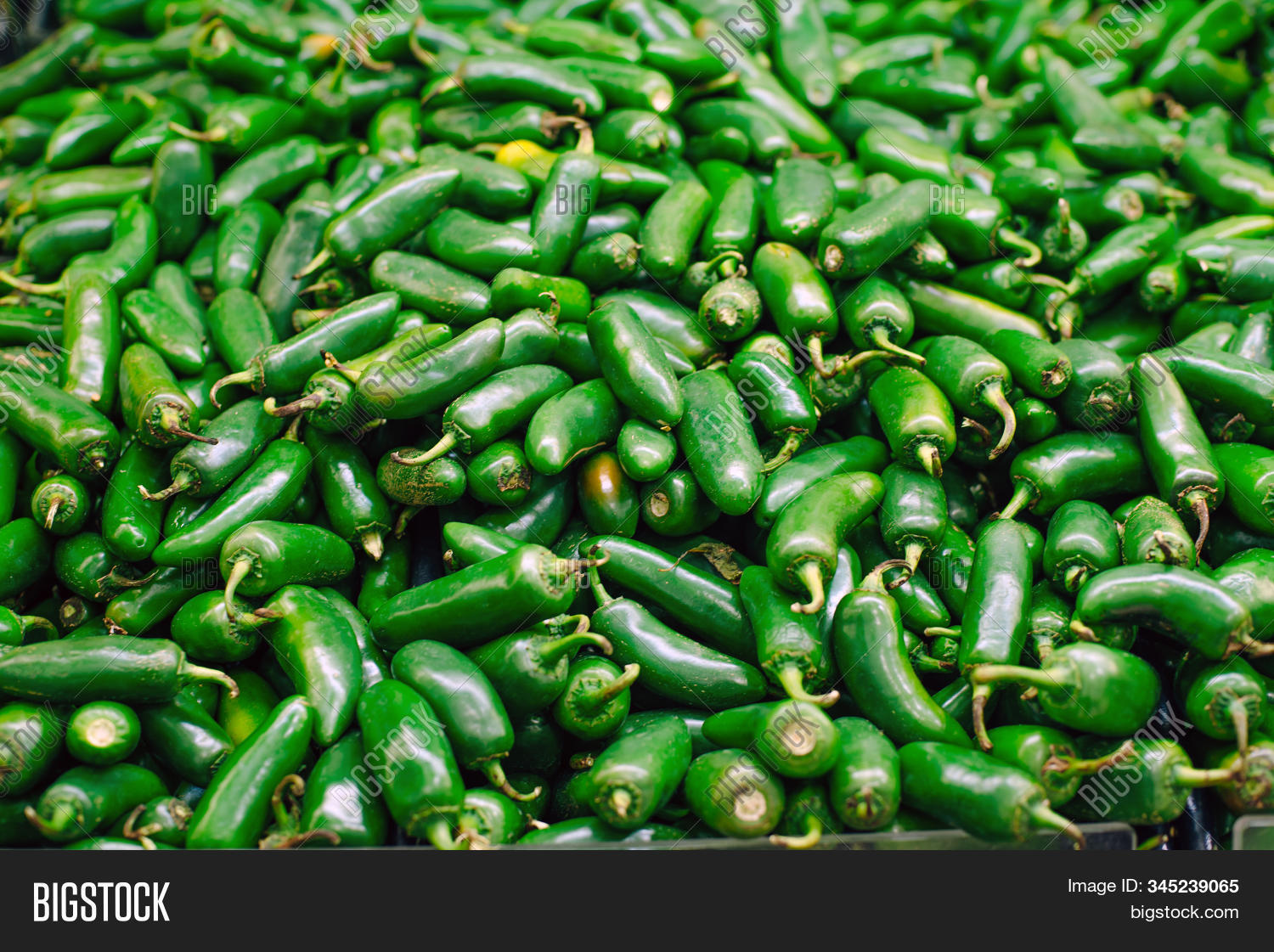 Mexico Green Chile Image & Photo (Free Trial) | Bigstock