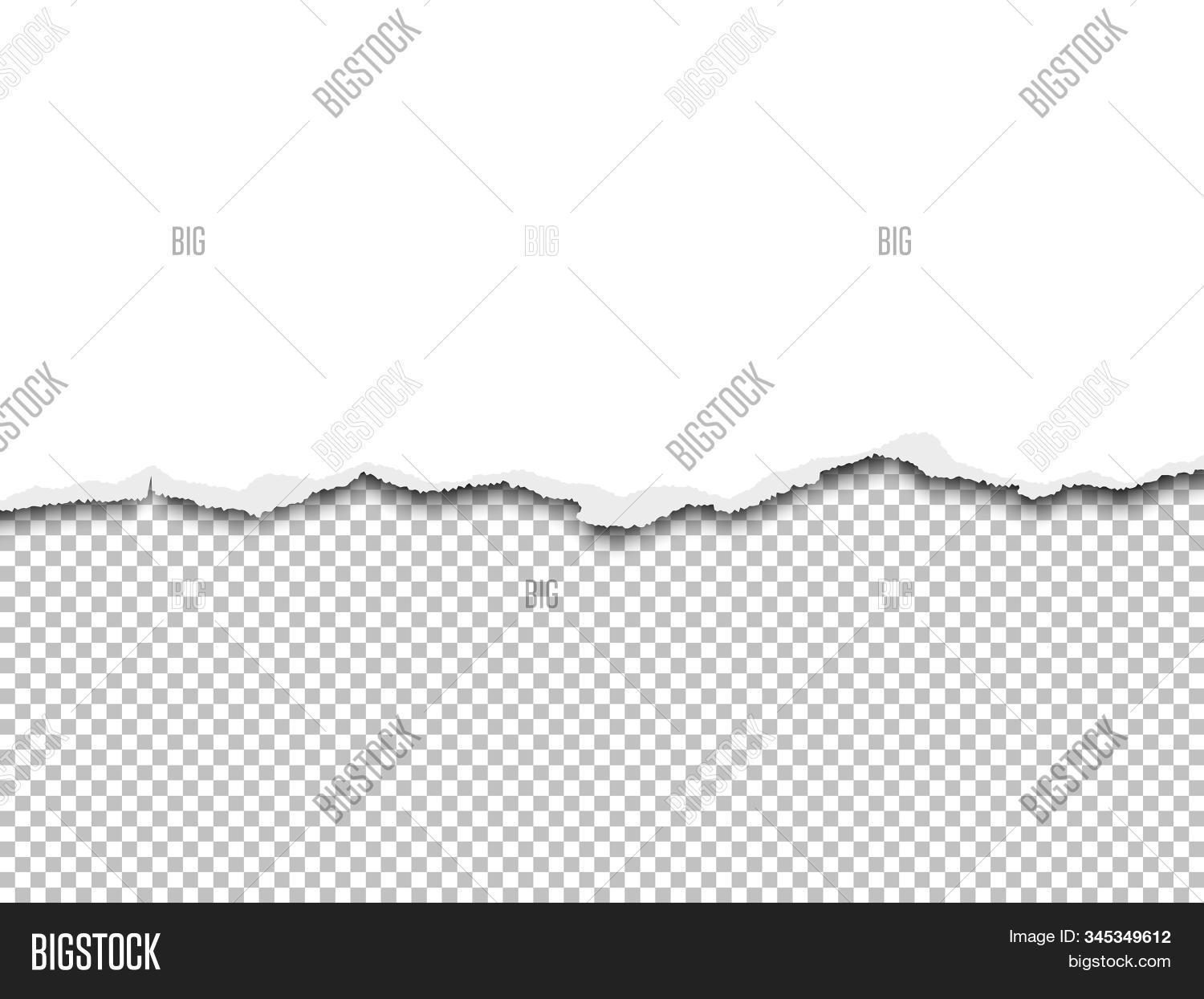 Vector Torn Half Vector & Photo (Free Trial) | Bigstock