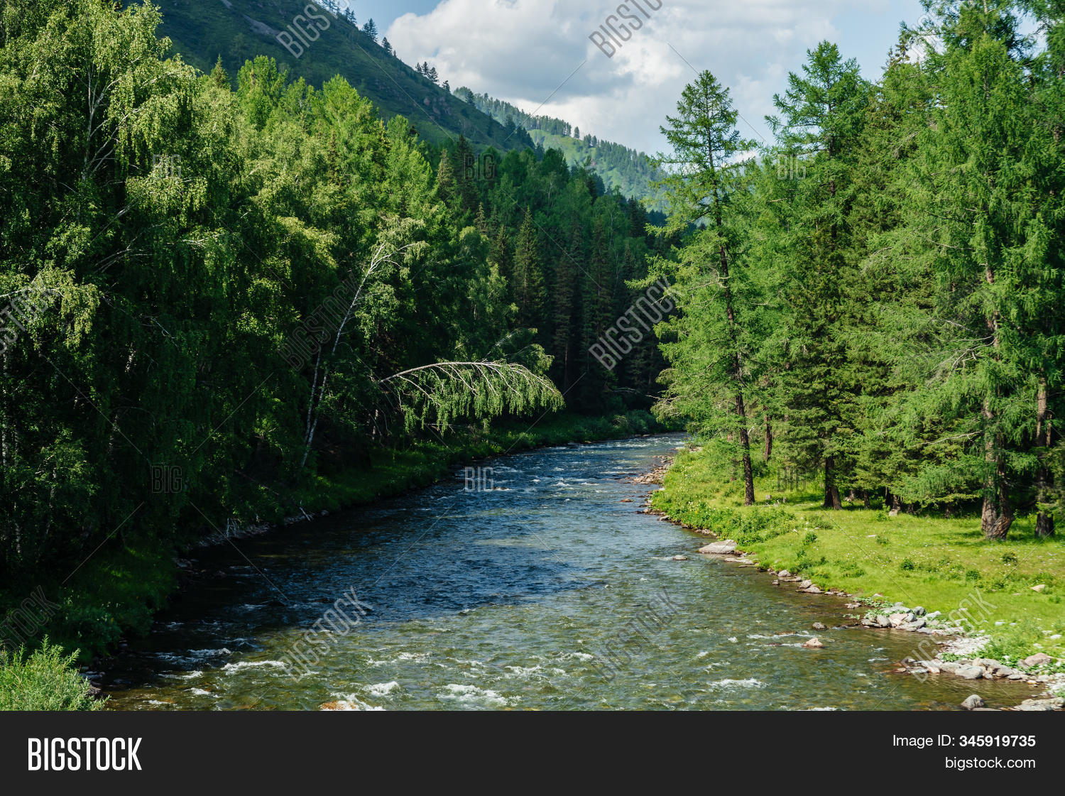 Beautiful Mountain Forest Landscapes