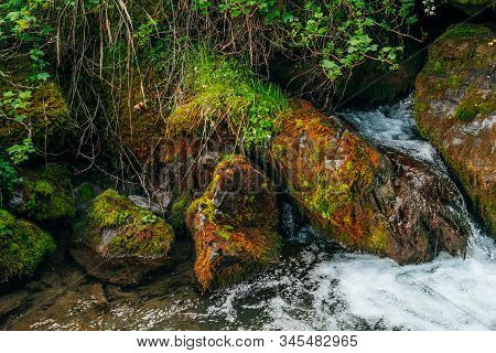Water Close Up Mountain Stream Images, Illustrations & Vectors (Free ...