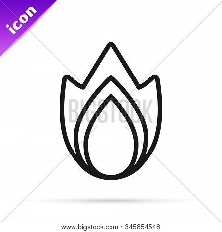 Black Line Fire Flame Vector & Photo (Free Trial) | Bigstock