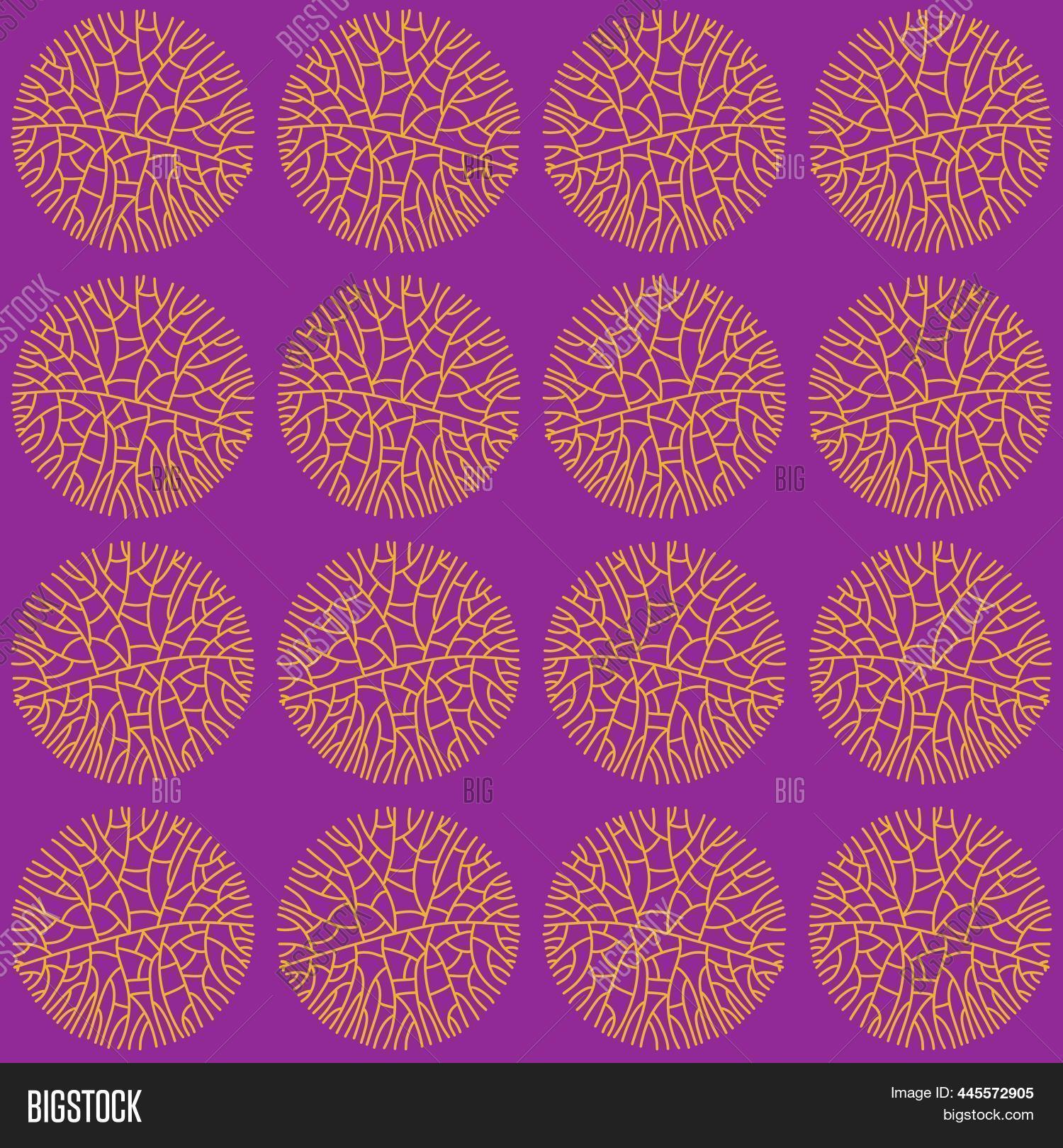 Abstract Circle Line Image & Photo (Free Trial) | Bigstock