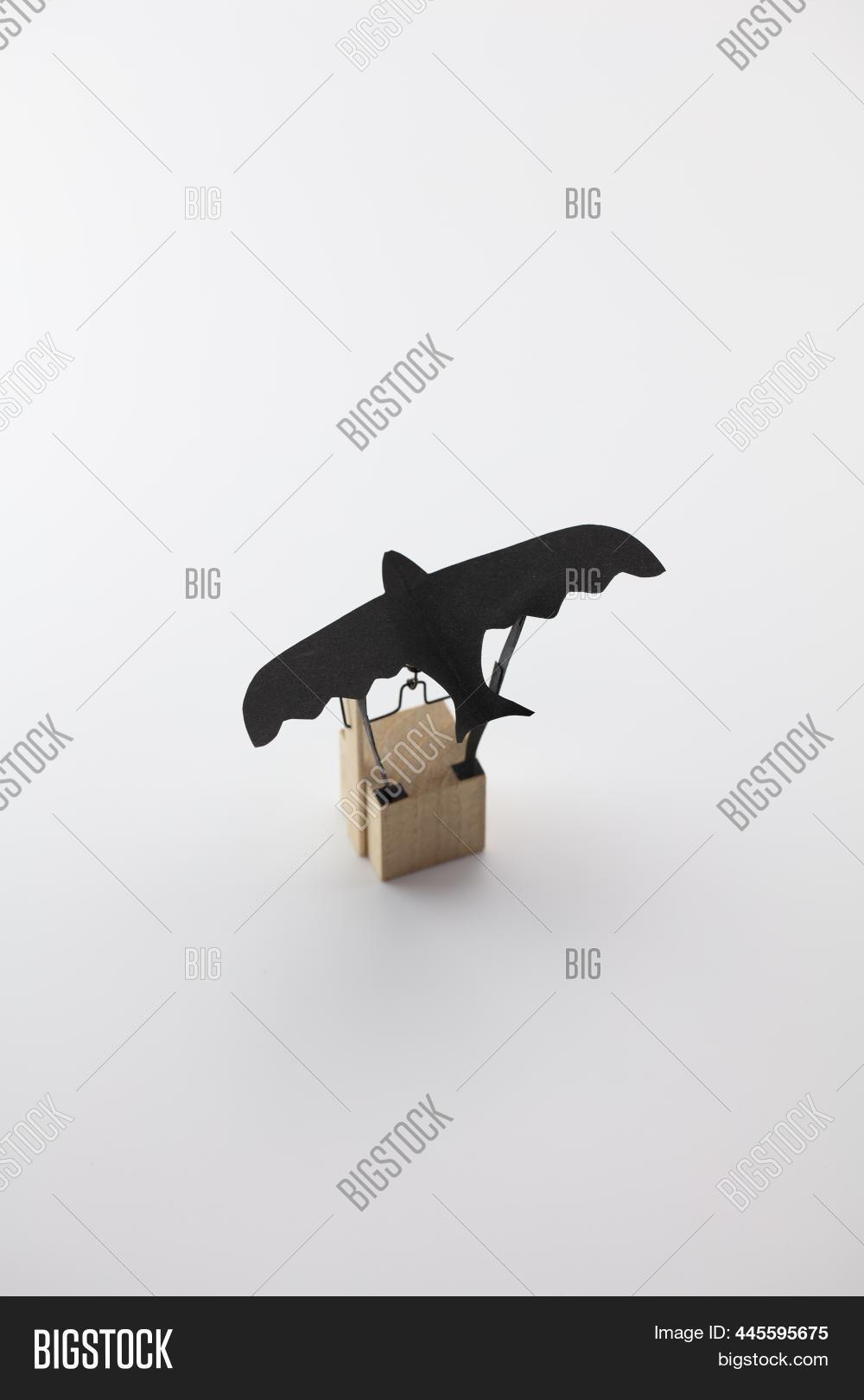 Flying Bird Automata Image & Photo (Free Trial) | Bigstock