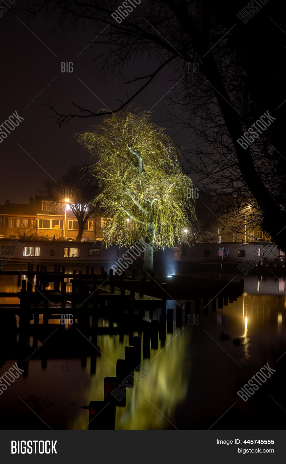 Night Image Image & Photo (Free Trial) | Bigstock