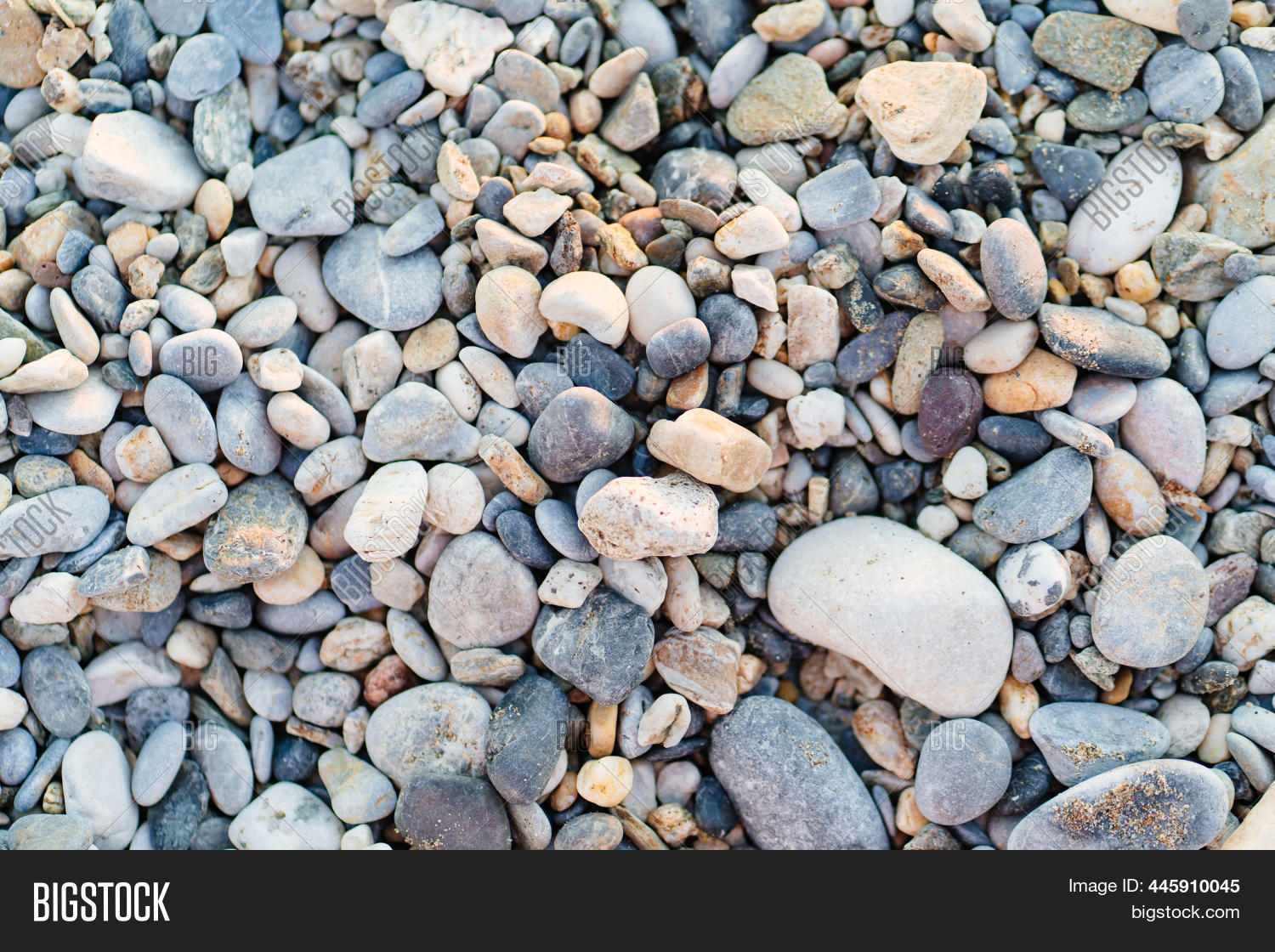 Gray Pebbles. Pebble Image & Photo (Free Trial) | Bigstock