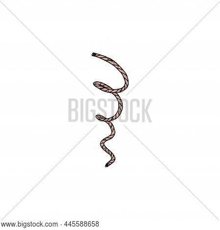 Rope Lasso Vector Vector & Photo (Free Trial) | Bigstock