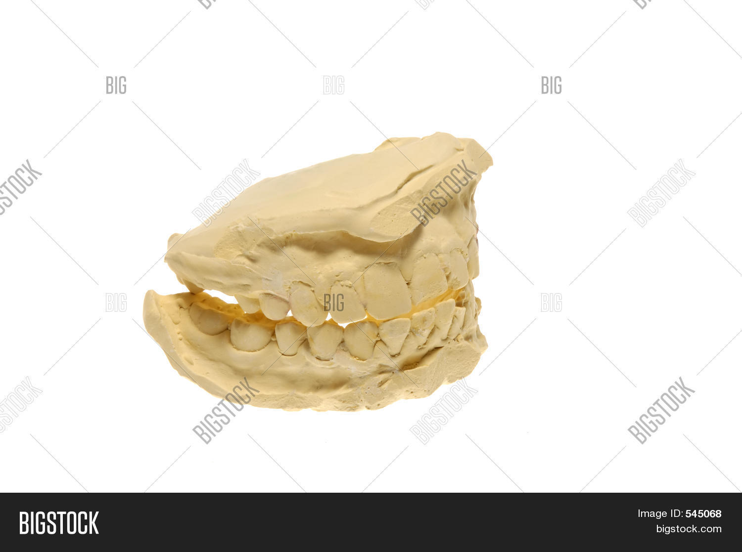 Tooth Mold Image & Photo (Free Trial) | Bigstock